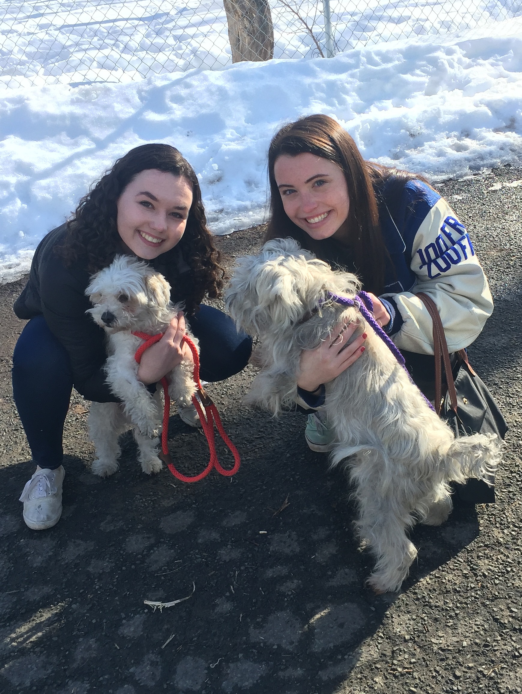 Scotch Plains-Fanwood High School Seniors Aid Shelter Dogs - Plainfield ...