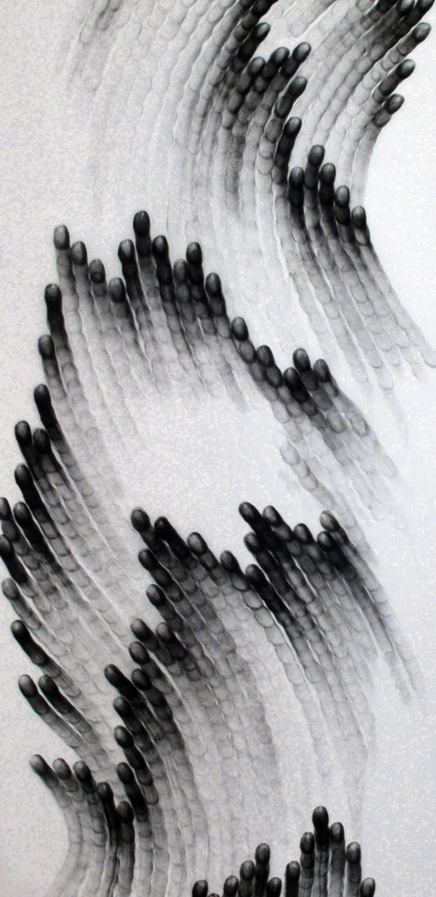 The Visual Arts Center of New Jersey Transforms its Galleries with ...