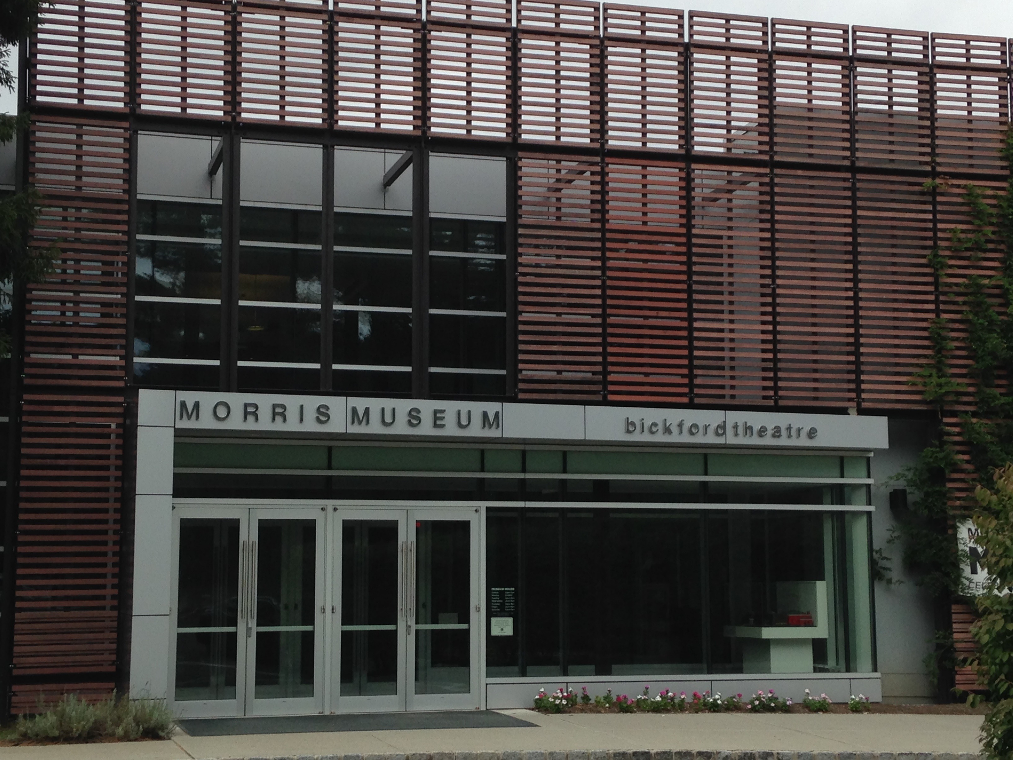 Morris Museum Exhibits Chairs of Inclusion, a Large-Scale Collaborative ...