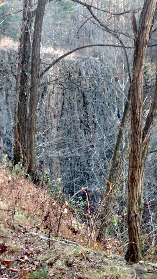 Today - Fall Foliage Walk in the Houdaille Quarry - TAPinto