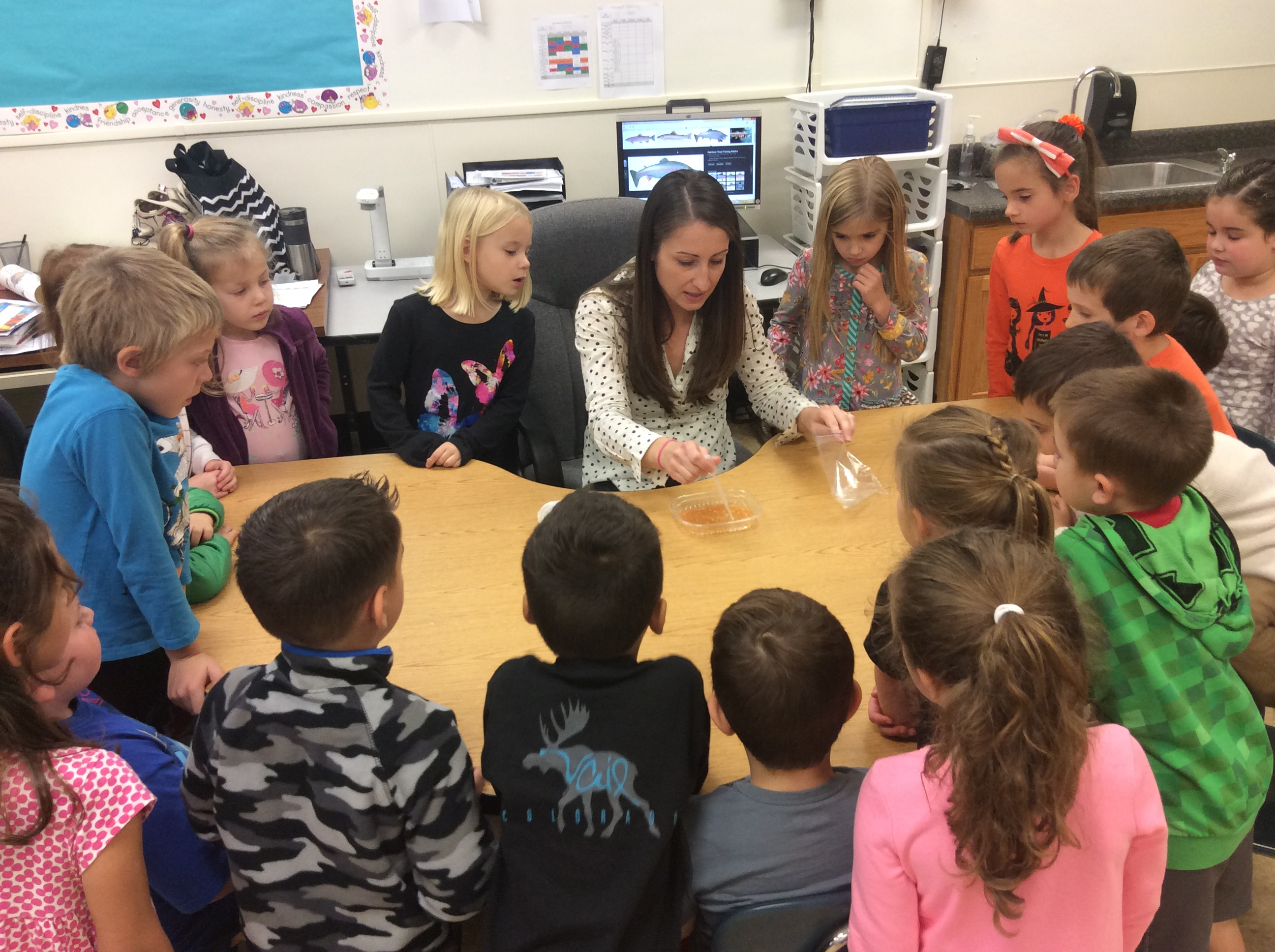 Sparta's Alpine Elementary School Gets Trout in the Classroom - Sparta ...