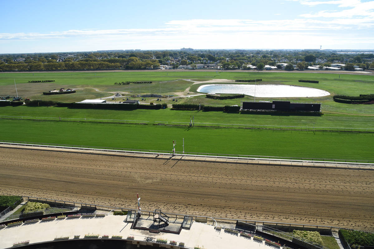 New turf course at Aqueduct ready for racing - News - TAPinto