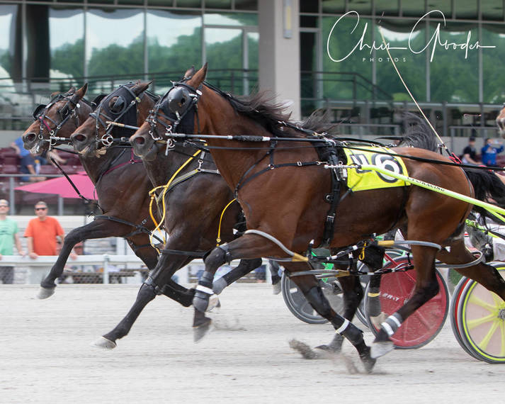Legendary Pacer, Foiled Again Wins His 100th Race - TAPinto