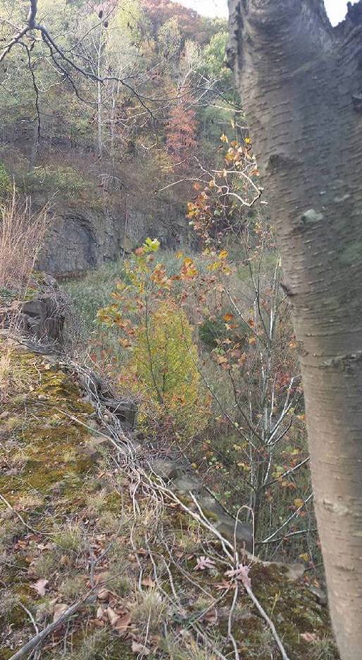 Springfield Environmental Commission Announces 2017 Houdaille Quarry ...