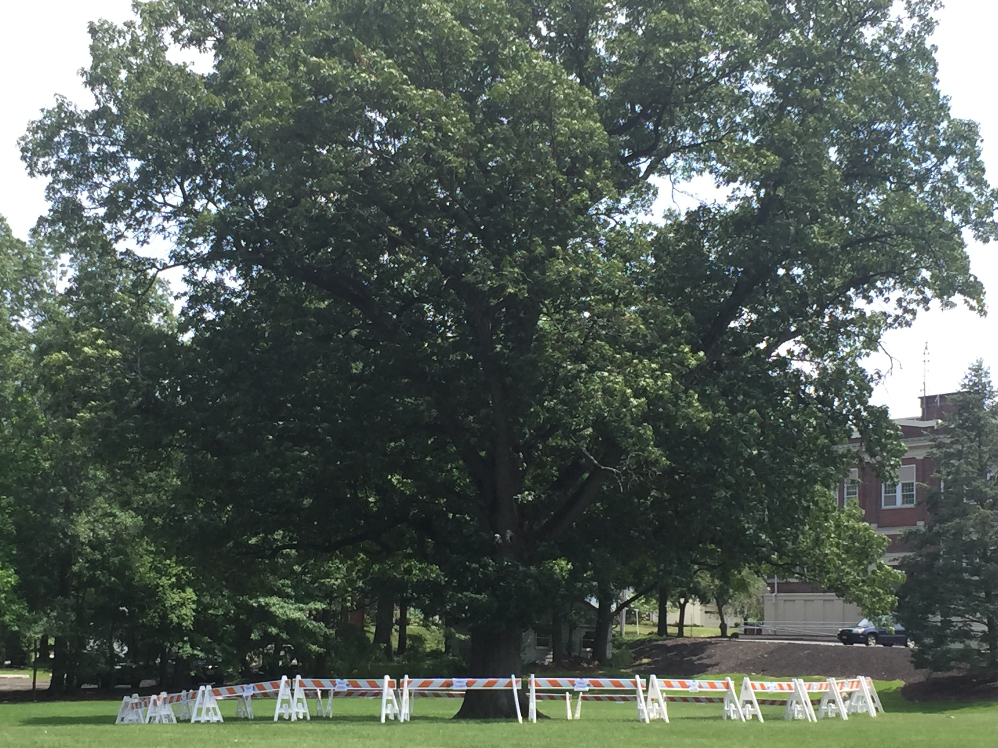 Chatham Borough Set to Introduce Ordinance on Monday to Abolish Shade ...