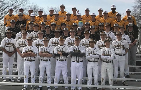 WHRHS Baseball: 2017 Preview | TAPinto
