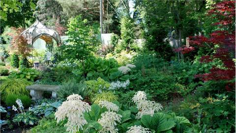 Shade Gardening Beyond Hostas | Piscataway, NJ News TAPinto