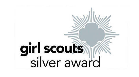 Girl Scout Silver Award - Community Drive: Sports Equipment | TAPinto
