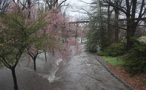 In Photos: Nutley Parks During and After the Floods in April 2018 ...