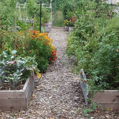 Union Community Garden Meeting Set for March 23 | TAPinto