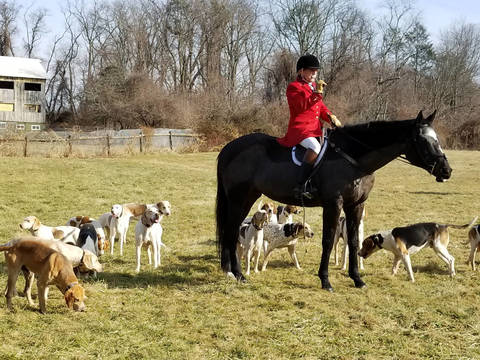 NJ Pony Club Is 7th in 2018 Live Oak Hounds USPC Foxhunting Challenge ...