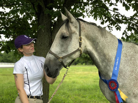 'Most Beautiful' Race Horse Turns Heads At Jersey Classic Show | News ...