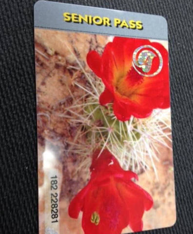 Price of National Parks Lifetime Senior Pass Increases Aug. 28 | TAPinto