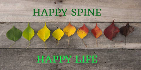 How to Make Your Spine Smile | TAPinto