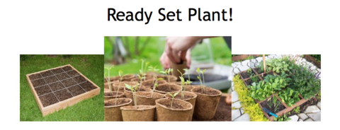 Ready, Set, Plant! | News TAPinto