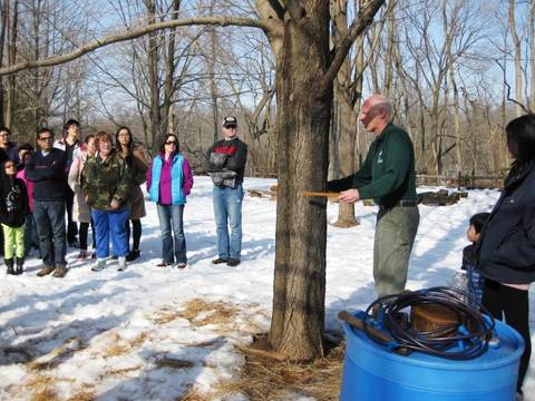 Sugar Shack in Basking Ridge Continues Sweet Tradition of Making Maple ...