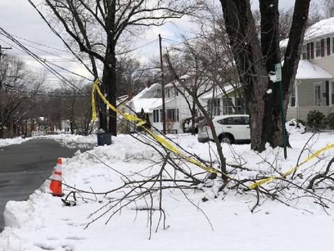 Springfield Storm Update and Pictures | Springfield, NJ News TAPinto ...