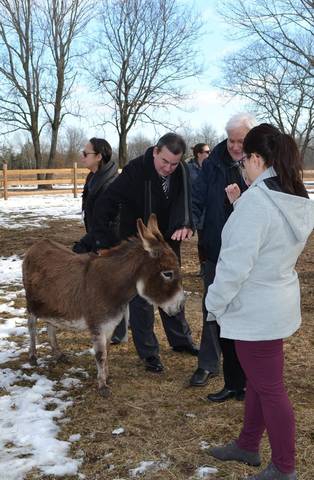 Carrier Clinic Hosts "Barn Warming" Party for Therapy Animals ...