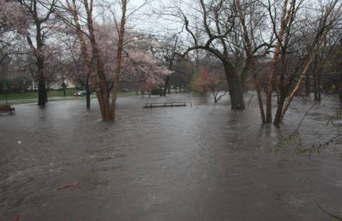 In Photos: Local Parks Flood During Monday Morning Rainstorms ...