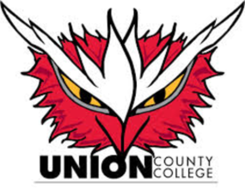 Union County College’s Men’s Basketball Team Defeats County College of ...