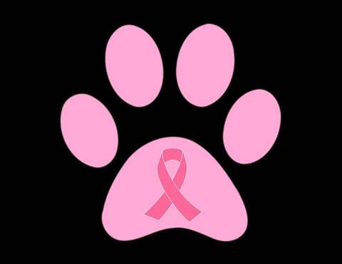 Real Panthers Wear Pink - Cedar Grove Breast Cancer Awareness Walk is ...