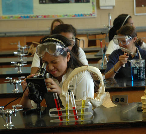 Mother Seton Places in New Jersey Science League District Competition ...