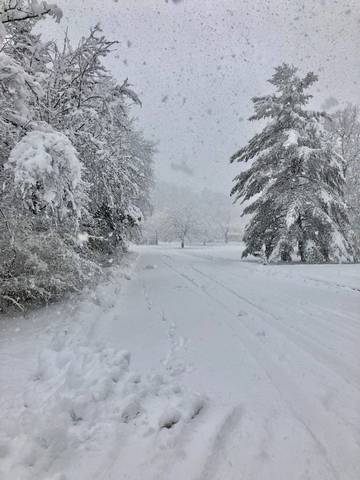 Mayor Issues Message & Bernards Schools Closed Before Wednesday's ...