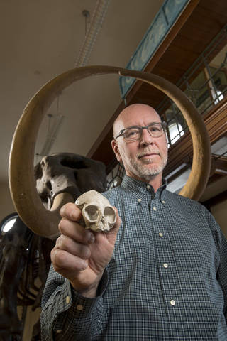 Meet 'Alesi,' a 13-Million-Year-Old Ancestor, at Rutgers Geology Museum ...